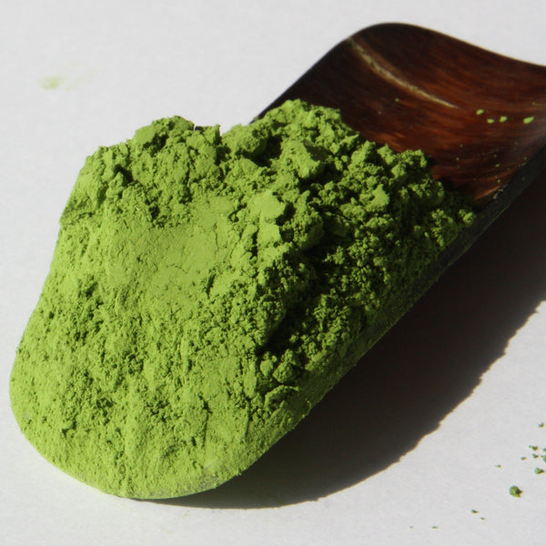 Matcha Mellow Green | Japanese Green Tea | Tea Repertoire