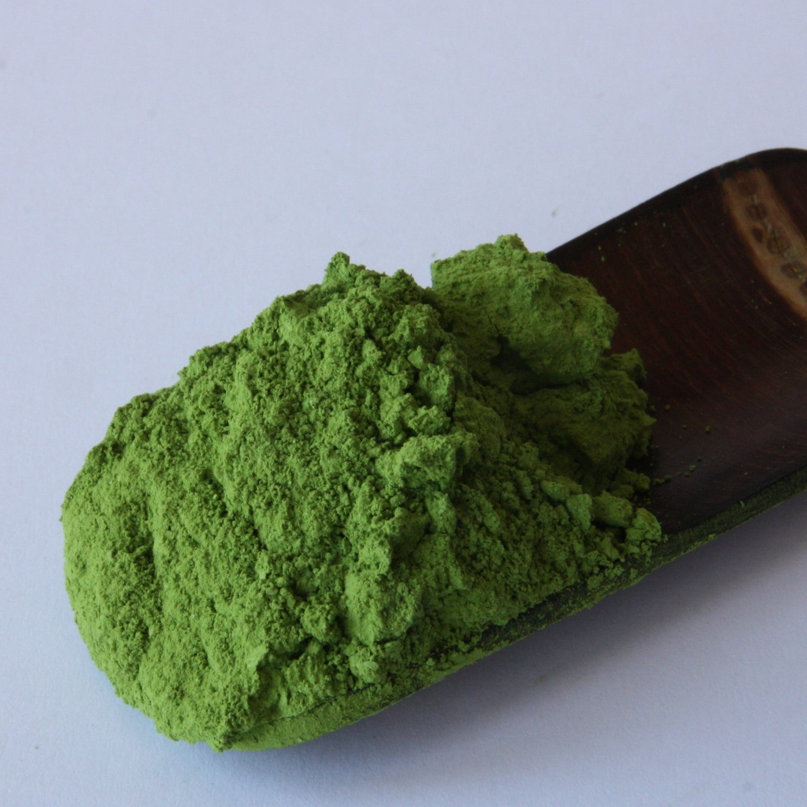 Matcha Samidori | Single Cultivar Japanese Green Tea | Tea Repertoire