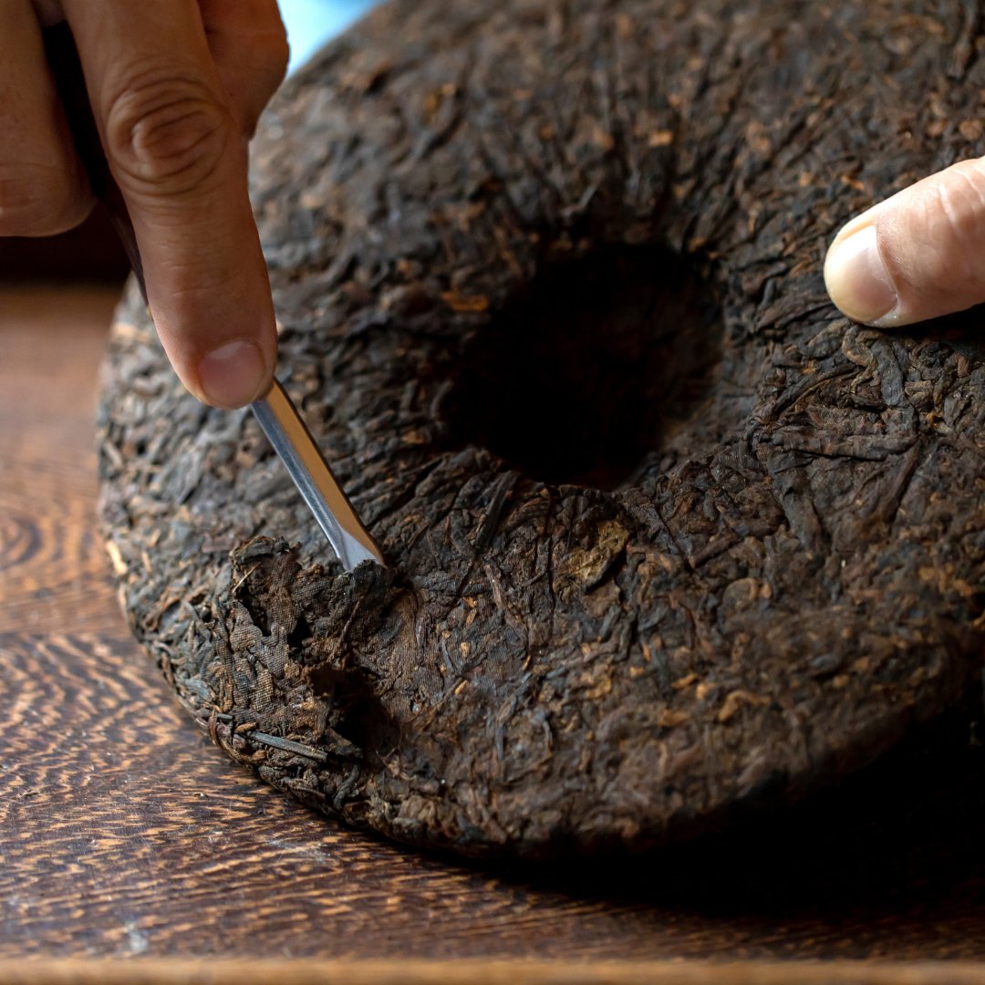 Tea Tasting Class | Tea Experience and Event | Tea Repertoire